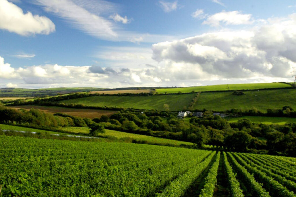 67+ Best Indoor Activities in Cornwall for Rainy Days - cornishcompass.com