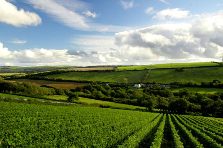 67+ Best Indoor Activities in Cornwall for Rainy Days - cornishcompass.com