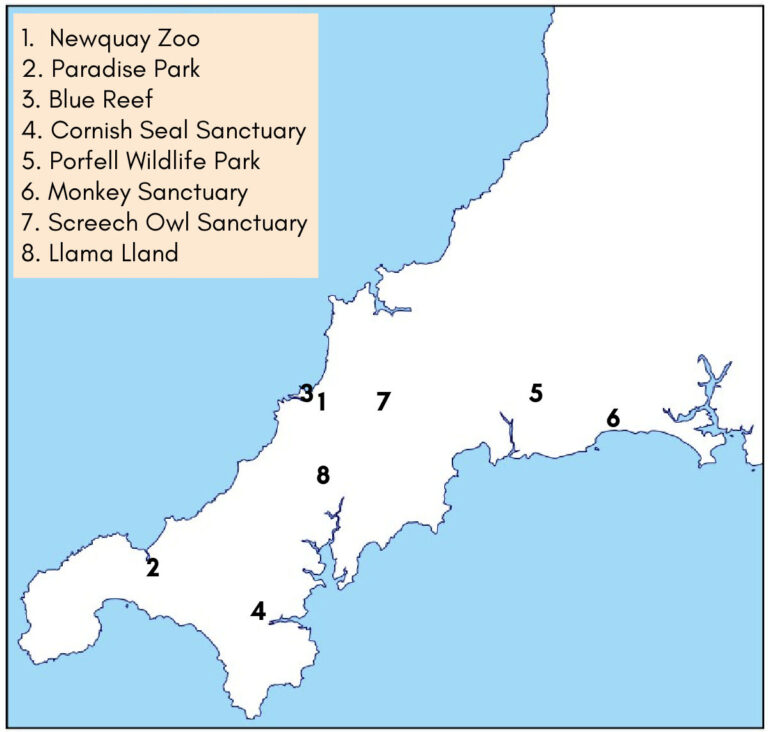 Top 8 Must-Visit Zoos in Cornwall - cornishcompass.com