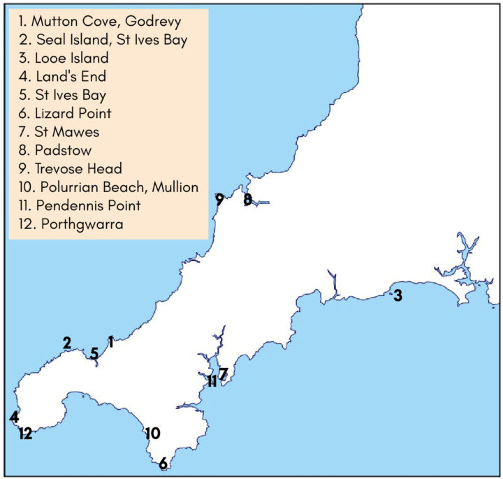 Where To See Seals in Cornwall: Top 12 Places To Spot Them ...