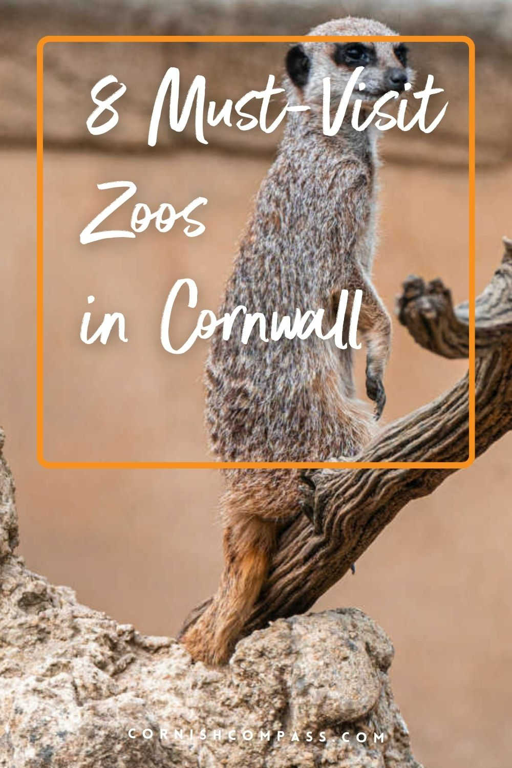 Top 8 Must-Visit Zoos in Cornwall - cornishcompass.com