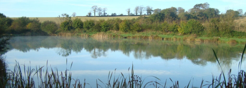 10+ Best Carp Fishing Lakes in Cornwall - cornishcompass.com