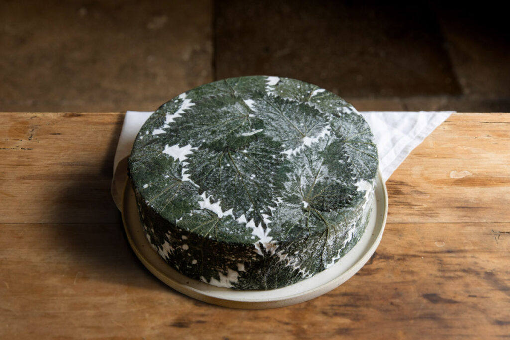 31+ Best Gifts From Cornwall: A Cornish Gift Guide - cornishcompass.com