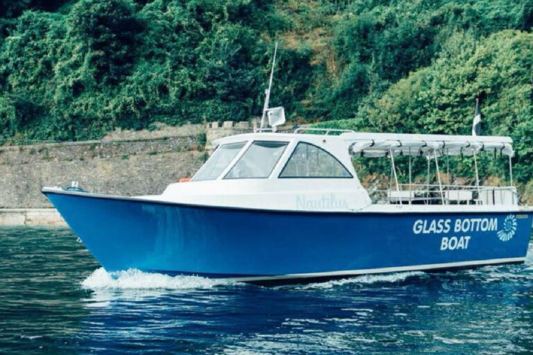 6 Best Boat Trips from Looe Cornwall: Sightseeing & Fishing ...