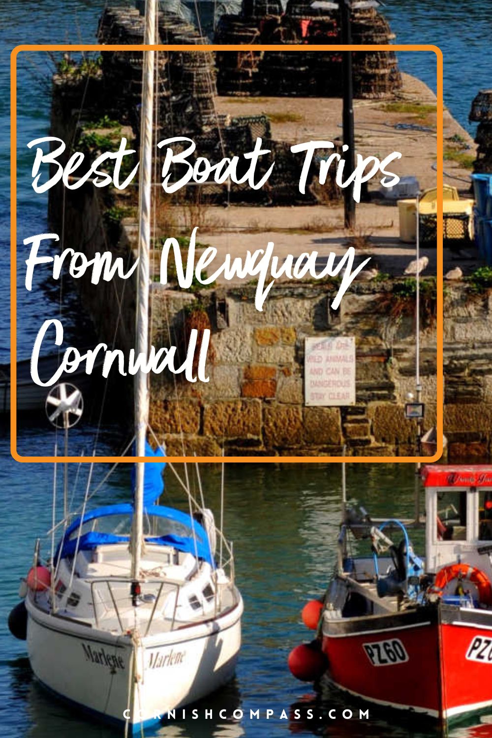 Best Boat Trips from Newquay Cornwall: Sightseeing & Fishing ...